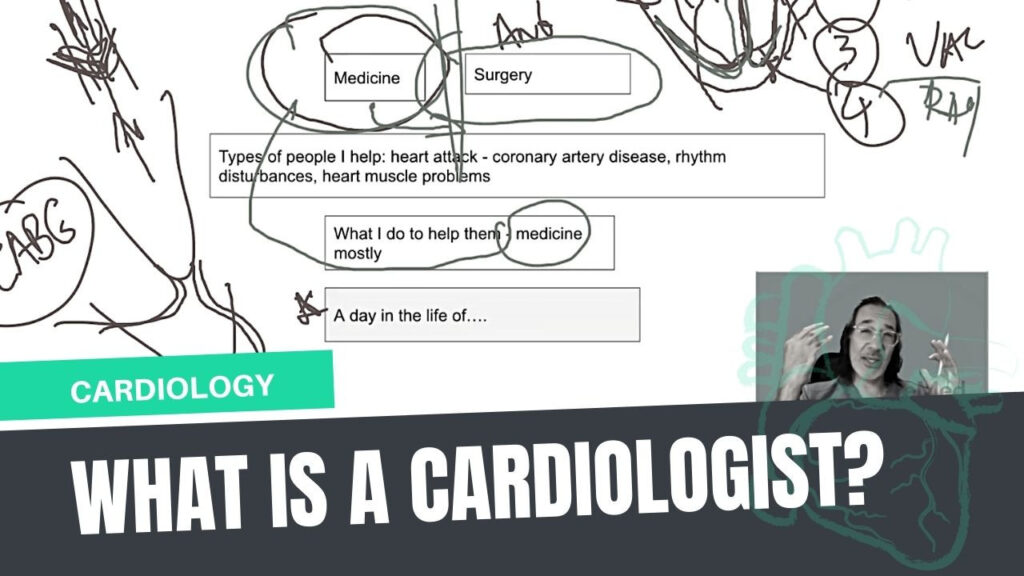 Teacher Hub - Types of Doctors - PremedSKL